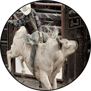 Rodeo Area Rugs & Custom Size Floor Mats