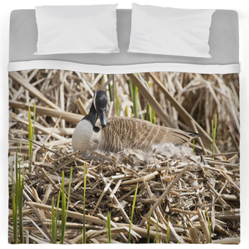 Goose Comforters, Duvets, Sheets & Sets | Custom