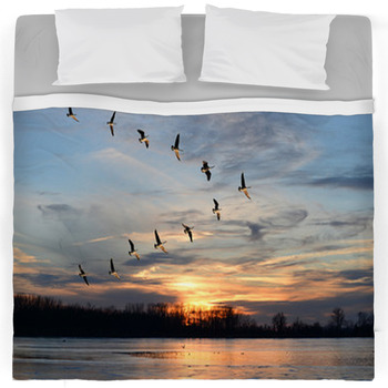 Goose Bedding | Comforters, Duvet Covers, Sheets & Bed Sets | Custom