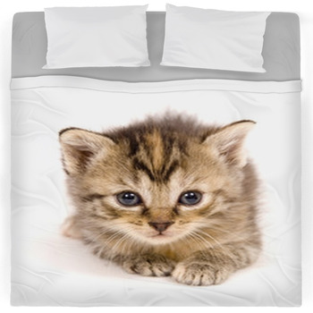 Kitten Comforters, Duvets, Sheets & Sets | Personalized