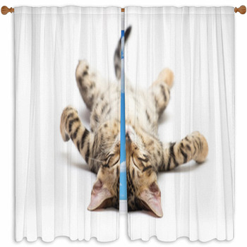 Cat Window Curtains & Drapes | Block Out | Custom Sizes