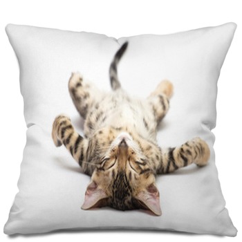 Cat Throw Pillows, & Shams