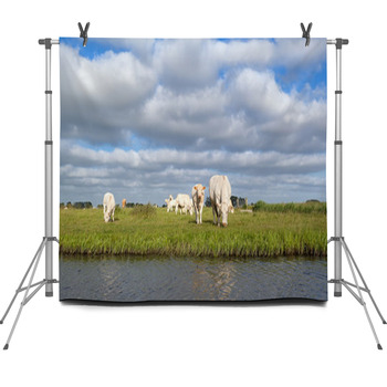 Farm animal Custom Backdrops | Available in Very Large Custom Sizes