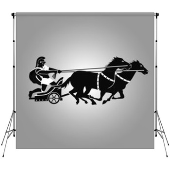 Gladiator Photographer Backdrops | Available in Ultra Large Custom Sizes