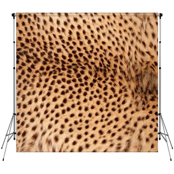 Animal print Photographer Backdrops | Available in Super Large Custom Sizes