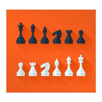 Chess Wall Decor | Murals | Tapestry | Posters | Custom Sizes