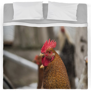 Chicken Bedding | Comforters, Duvet Covers, Sheets & Bed Sets | Custom