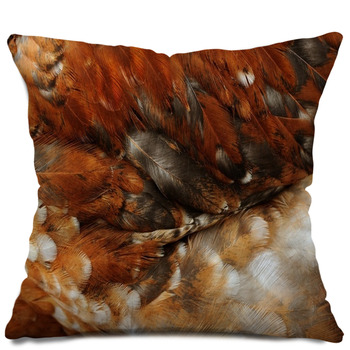 Feather Throw Pillows, Cases