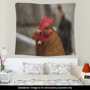Chicken Wall Decor in Canvas, Murals, Tapestries, Posters & More