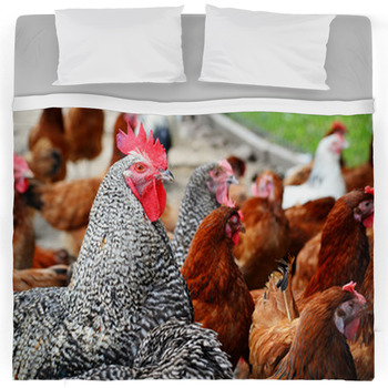 Chicken Comforters, Duvets, Sheets & Sets | Personalized