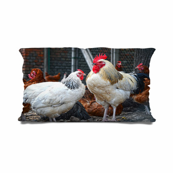 Chicken Throw Pillows, Cases