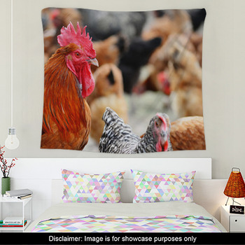 Chicken Wall Decor in Canvas, Murals, Tapestries, Posters & More