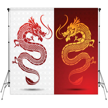 Dragon Photographer Backdrops | Available in Ultra Large Custom Sizes