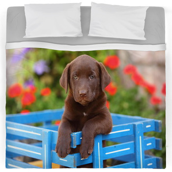 Puppy Comforters, Duvets, Sheets & Sets | Custom