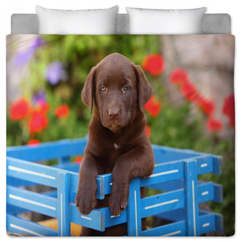 Puppy Comforters, Duvets, Sheets & Sets | Custom
