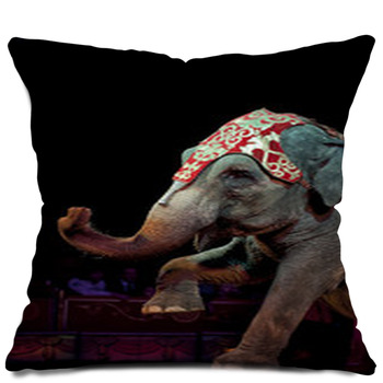Circus Throw Pillows, & Shams
