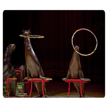 Seal Area Rugs & Floor Mats