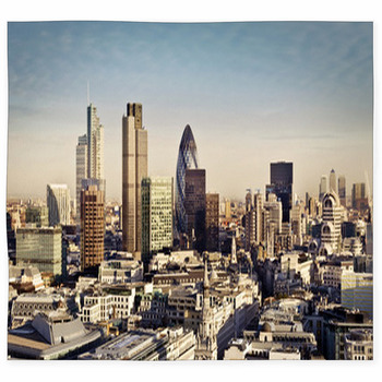 London Area Rugs & Custom Size Floor Mats