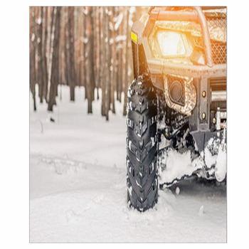Atv quad Wall Decor in Canvas, Murals, Tapestries, Posters & More