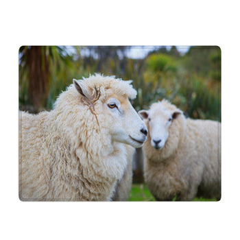Sheep Shower Curtains, Bath Mats, & Towels Personalize