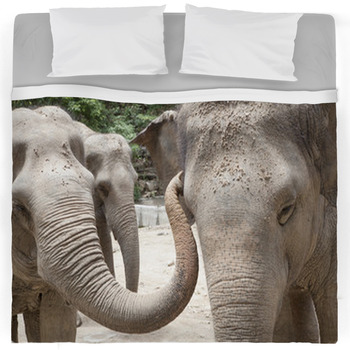 Elephant Comforters, Duvets, Sheets & Sets | Personalized