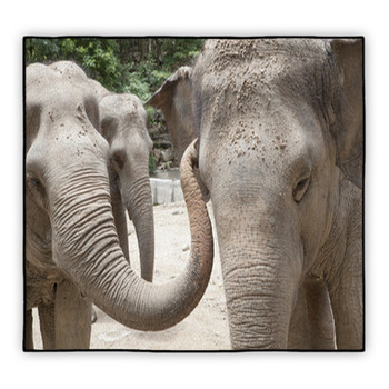 Elephant Area Rugs & Custom Size Floor Mats