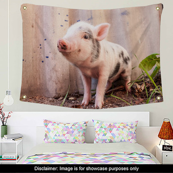 Pig Wall Decor in Canvas, Murals, Tapestries, Posters & More