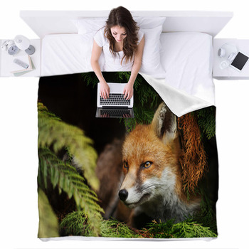Fox Comforters, Duvets, Sheets & Sets | Custom