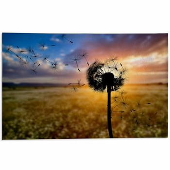 Dandelion Area Rugs & Floor Mats