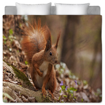 Squirrel Comforters, Duvets, Sheets & Sets | Personalized