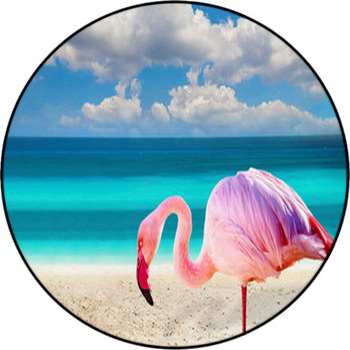 Flamingo Rugs & Custom Size Floor Mats