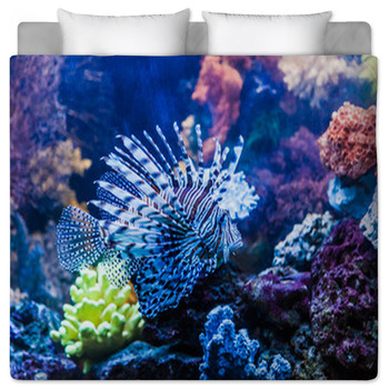 Tropical fish Comforters, Duvets, Sheets & Sets | Custom