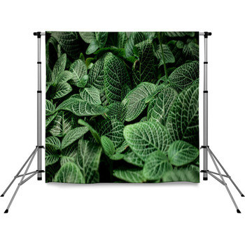 Leaf Custom Backdrops | Available in nearly ANY Custom Sizes