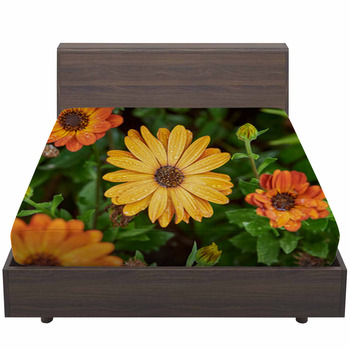 Daisy Comforters, Duvets, Sheets & Sets | Custom