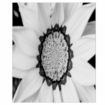 Black and white floral Wall Decor in Canvas, Murals, Tapestries ...