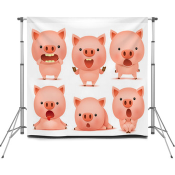 Pig Photographer Backdrops | Available in nearly ANY Custom Sizes