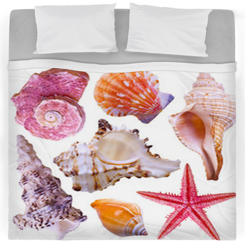 Seashell Comforters, Duvets, Sheets & Sets | Personalized