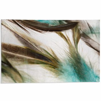 Feather Rugs & Custom Size Floor Mats