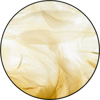 Feather Rugs & Custom Size Floor Mats