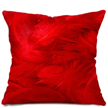 Feather Throw Pillows, Cases, & Shams