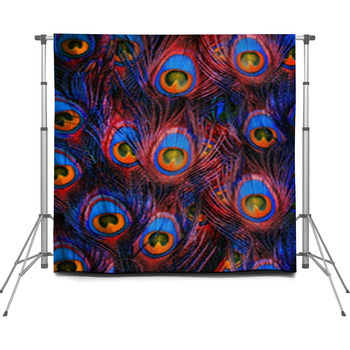 Peacock Photographer Backdrops | Available in nearly ANY Custom Sizes