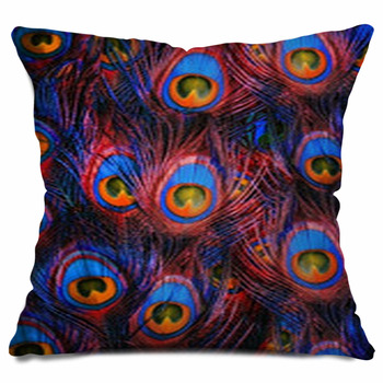 Feather Throw Pillows, Cases