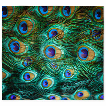 Feather Area Rugs & Custom Size Floor Mats