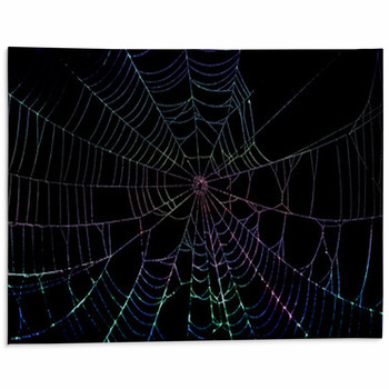 Spider Area Rugs & Floor Mats