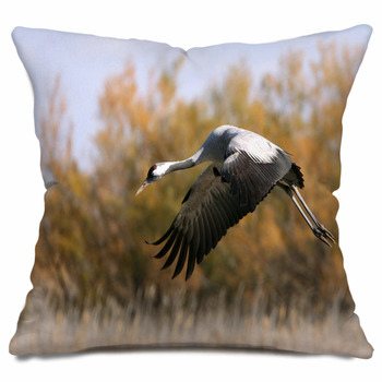 Crane Throw Pillows, & Shams