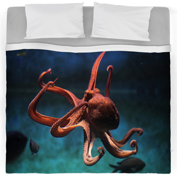 Octopus Comforters, Duvets, Sheets & Sets | Custom