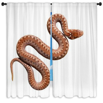 Snake Window Curtains | Custom Size Drapes