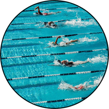 Olympic Area Rugs & Floor Mats