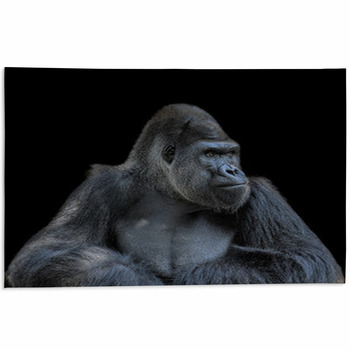 Gorilla Rugs & Custom Size Floor Mats