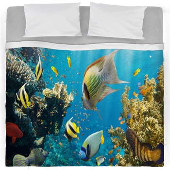 Coral reef Comforters, Duvets, Sheets & Sets | Custom